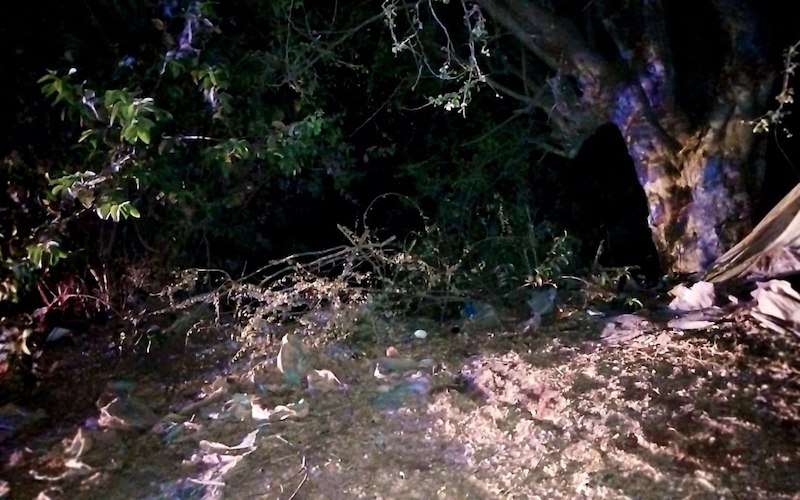 Encuentran cadáver putrefacto de un hombre en la periferia de Zamora